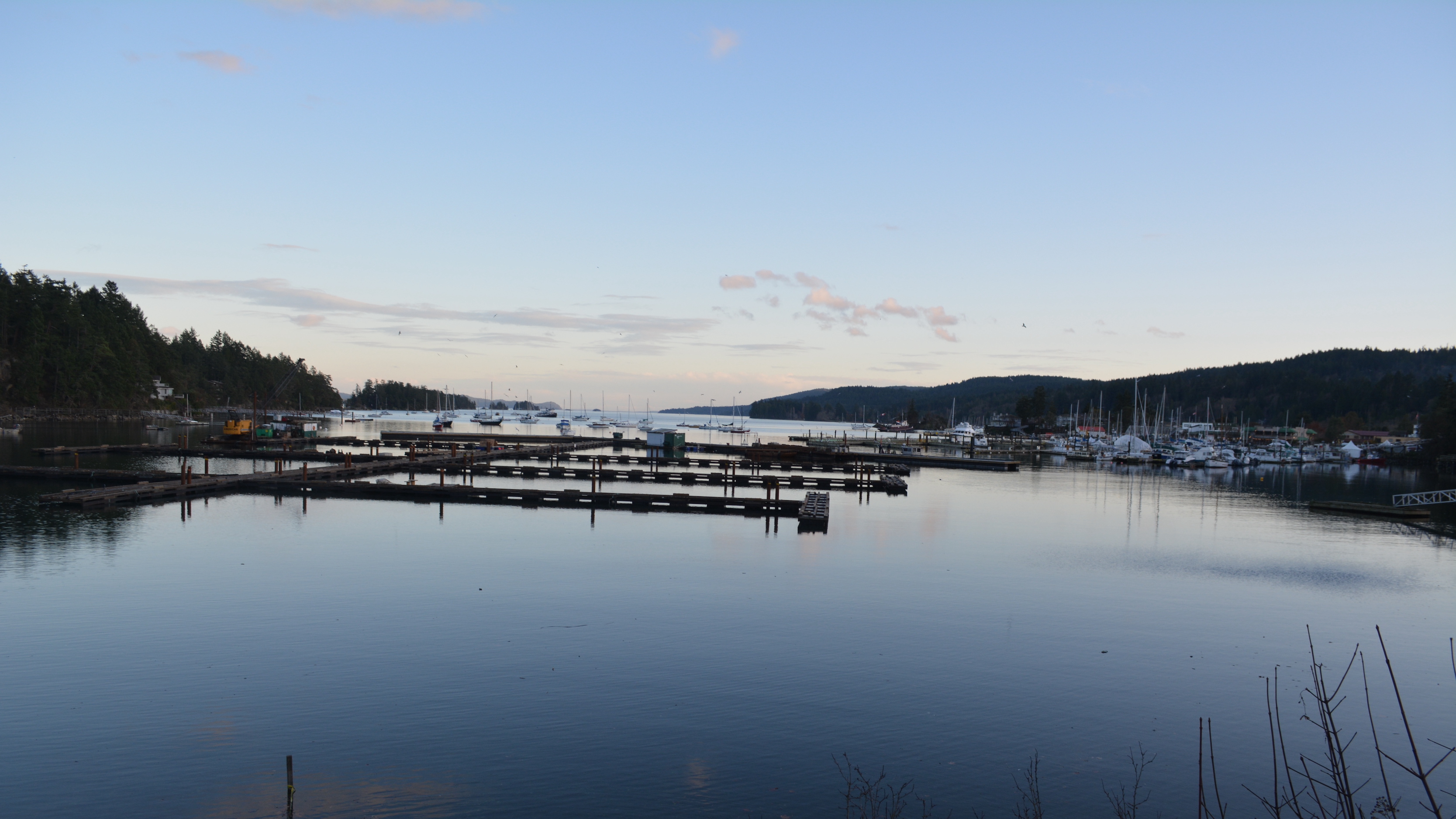 Saanich North and the Islands BC NDP